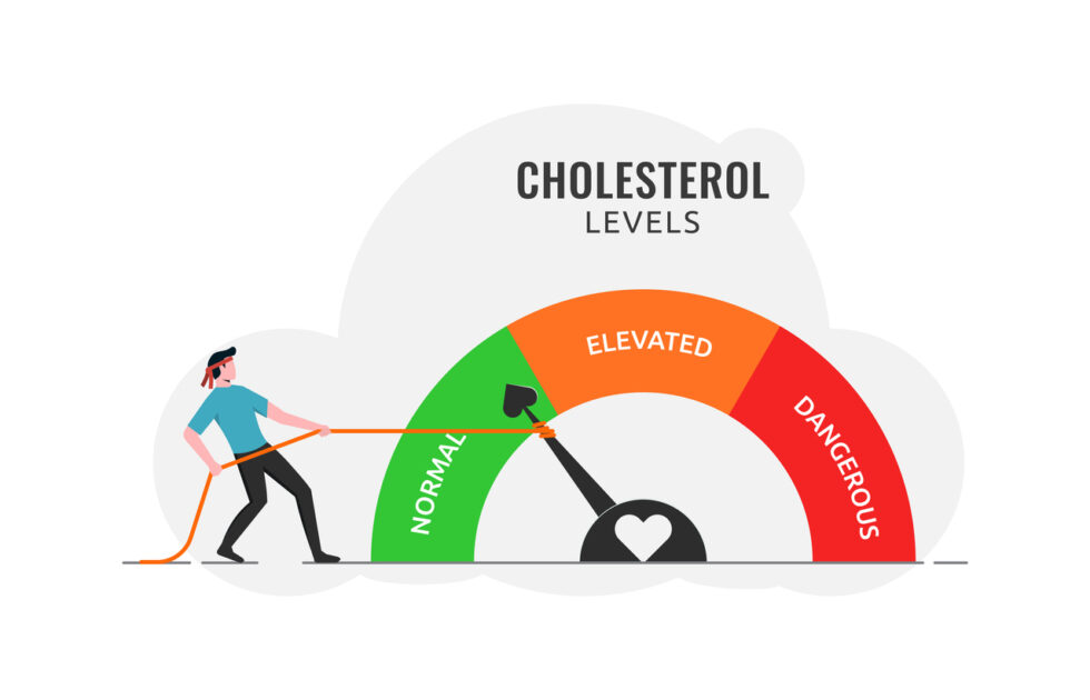 Insights on Managing Cholesterol | The Keyhole Heart Clinic